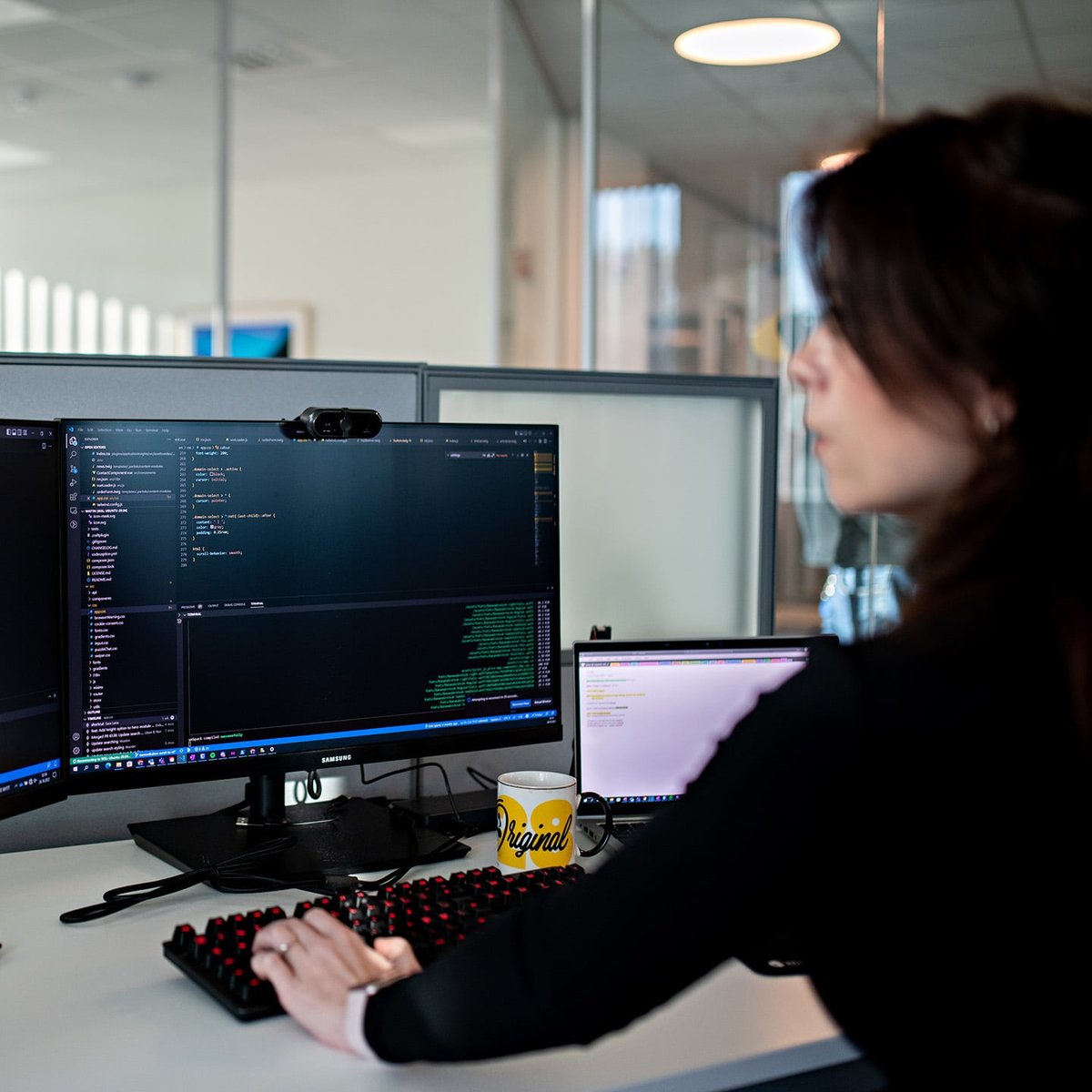 Custom software development